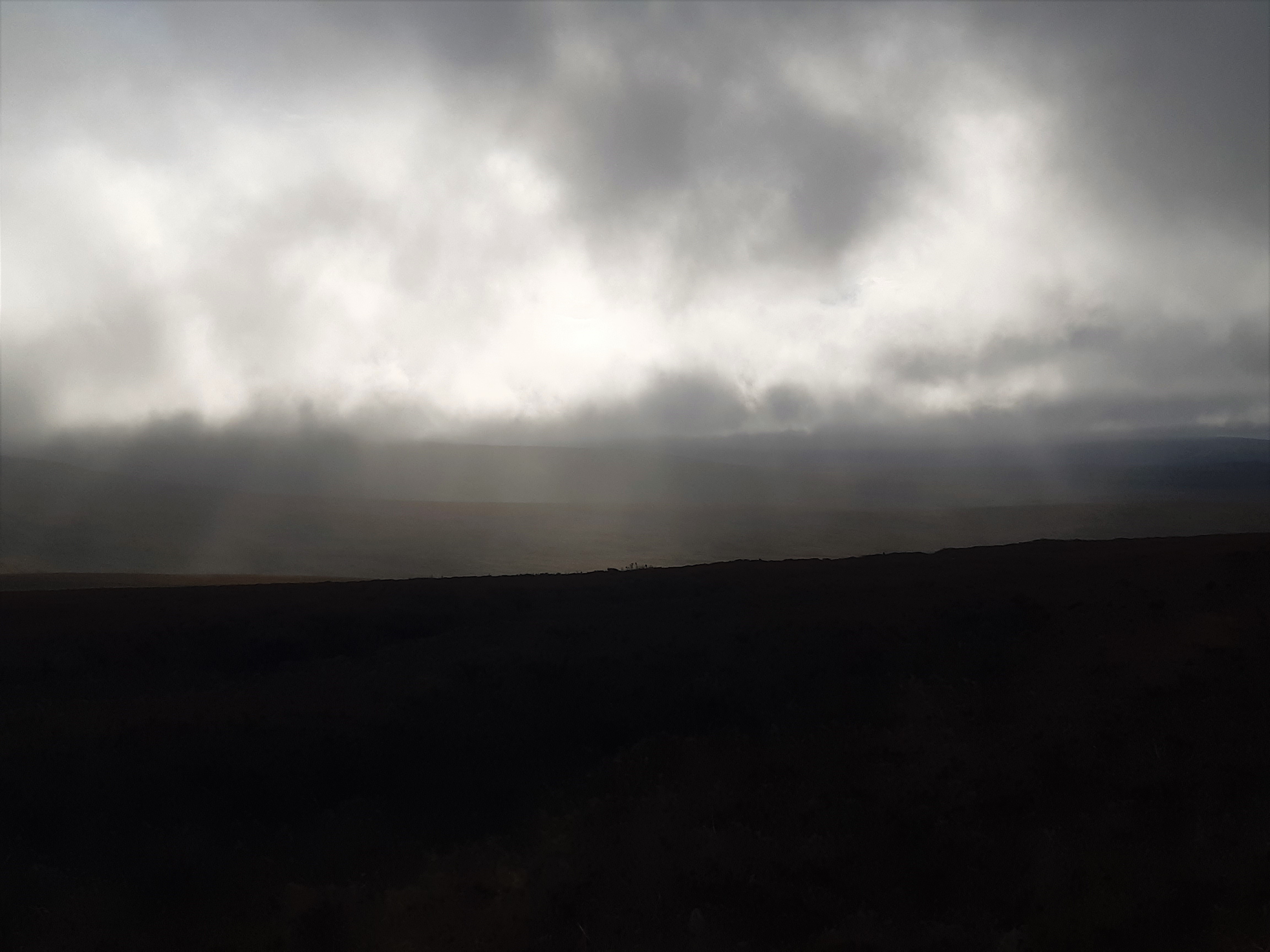 The Samuel Beckett Society